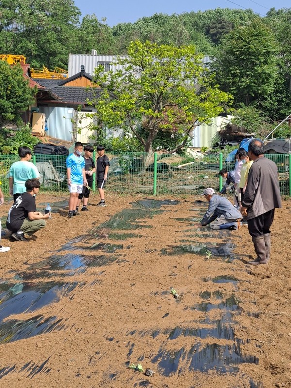 [경기마을공동체⑬] "어머니의 그리운 손맛" '화성 궁평2리 토종농부공동체'에서 답을 찾다!