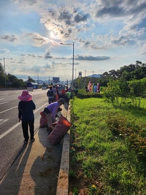 Gyodong Village in Ganghwa Creates Flower Pathway at Gyodong Bridge ...